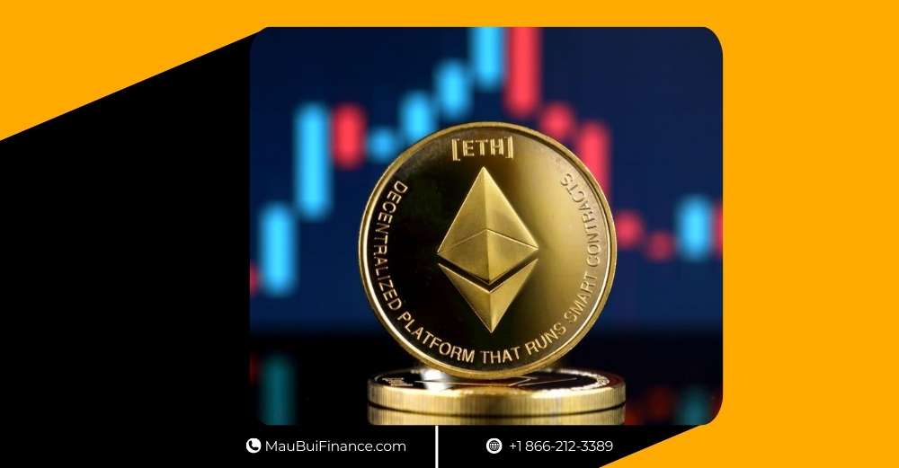 Mau Bui Finance - Nơi tiếp cận đầu tư Stocks & Crypto bài bản nhất dành ...